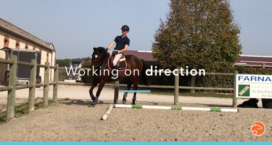 4 Exercises to Improve the Direction of Your Horse | Equisense - Blog