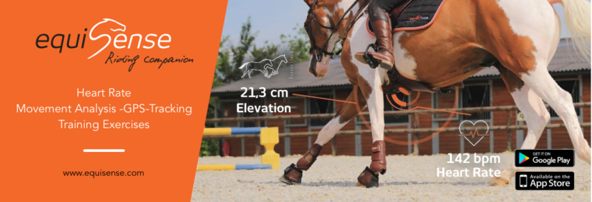 3 tips to Efficiently Build Back Muscles for your Horse | Equisense - Blog