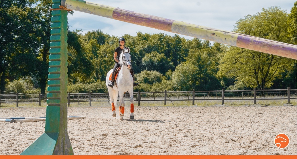 5 exercices pour les chevaux qui chargent à l'obstacle | Equisense - Blog