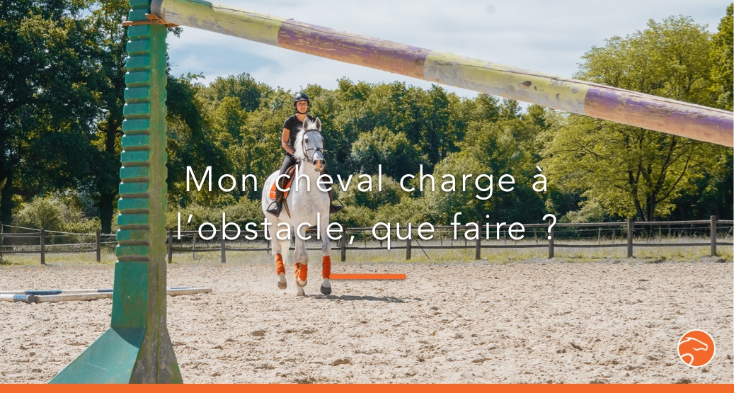 5 exercices pour les chevaux qui chargent à l'obstacle | Equisense - Blog