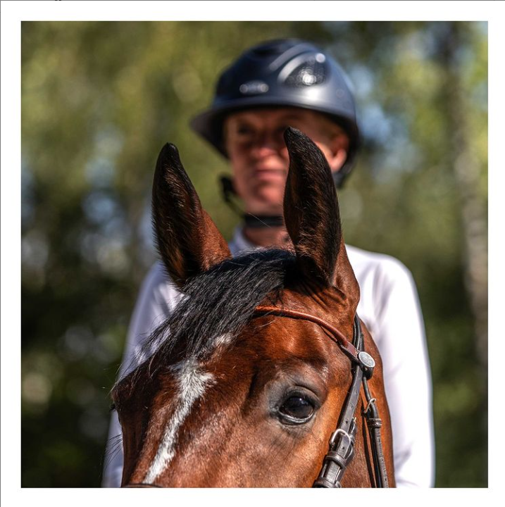 5 exercices pour préparer les changements de pied au galop | Equisense ...