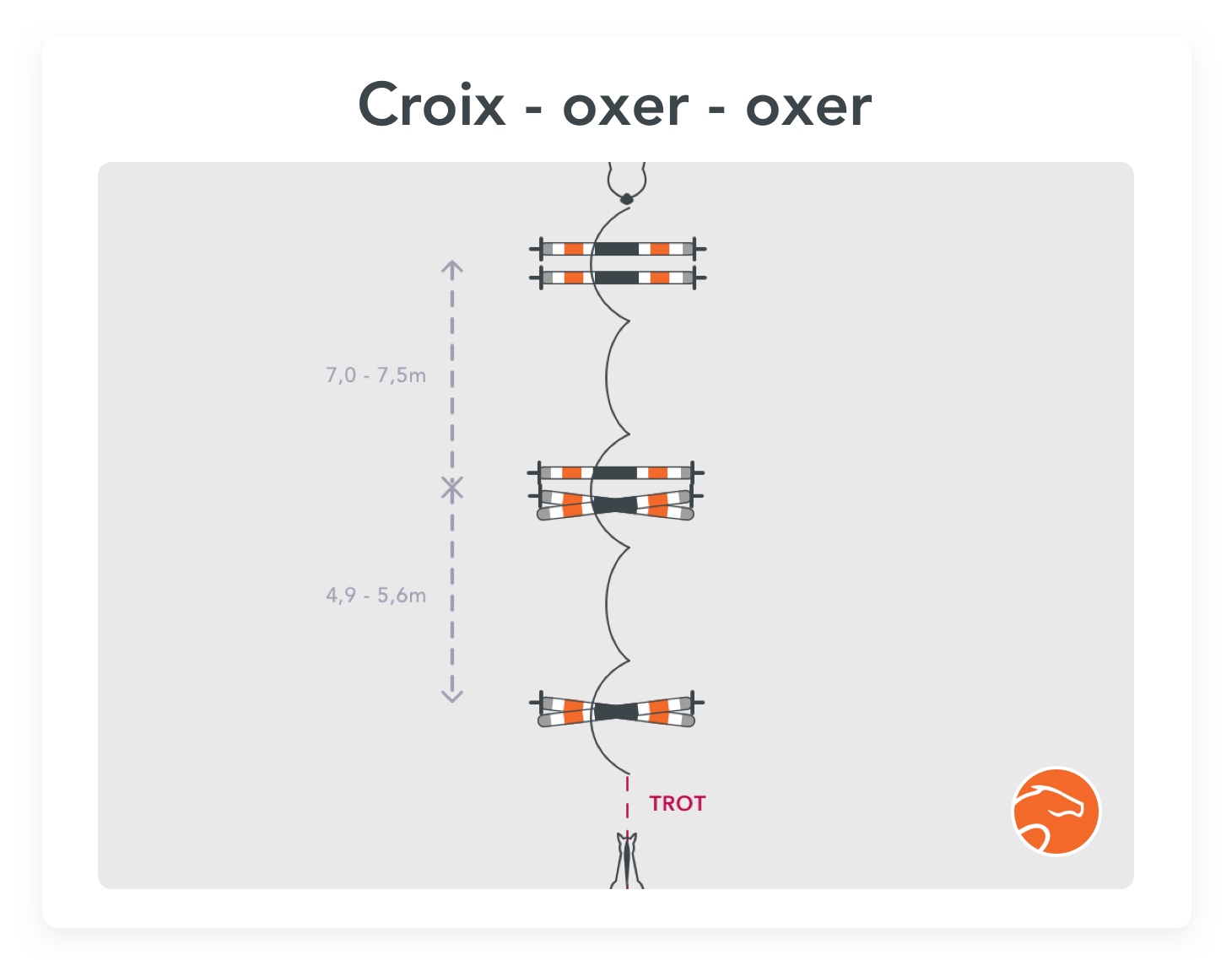 5 exercices de renforcement musculaire à l'obstacle | Equisense - Blog