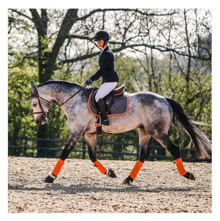 5 exercices pour préparer les changements de pied au galop | Equisense ...