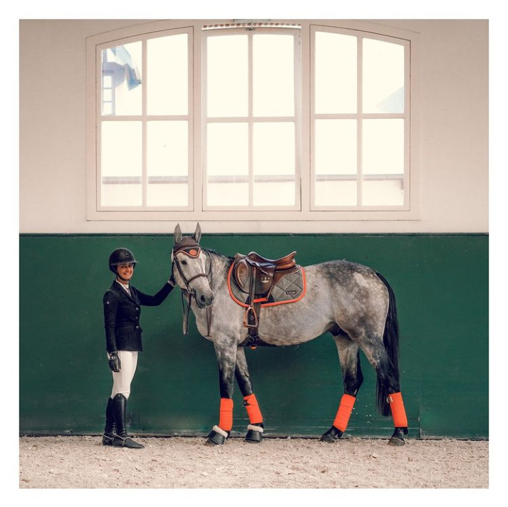 Tout savoir sur les 5 sens du cheval | Equisense - Blog