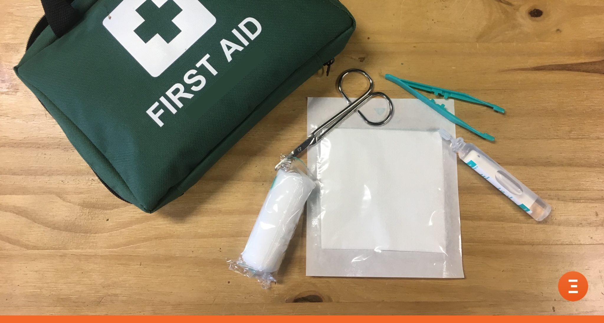 The Horse First Aid Kit that Every Rider Should Have | Equisense - Blog
