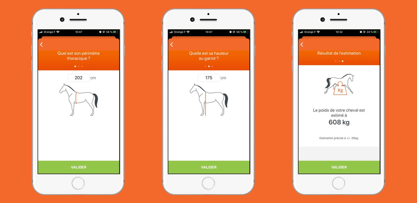 Voici ce que risque votre cheval s'il est en surpoids | Equisense - Blog