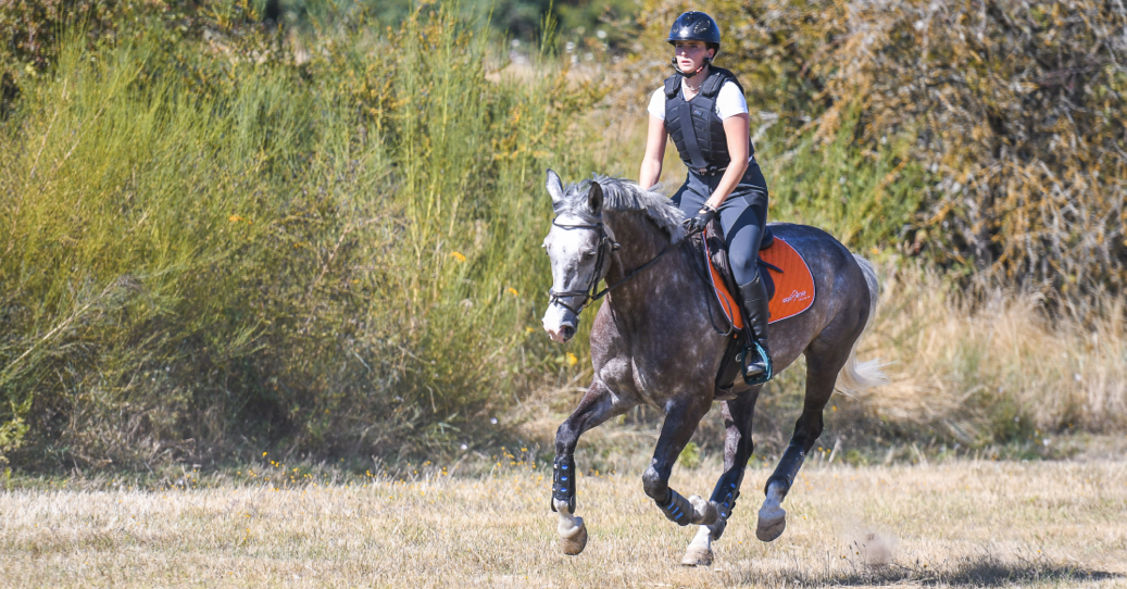 Recovery after an effort: Here's how it works | Equisense - Blog