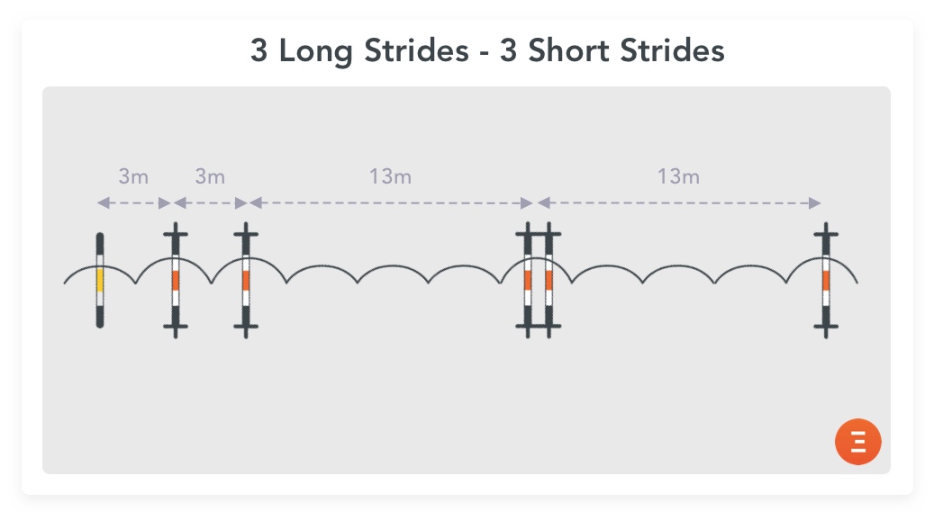 4 Gridwork Exercises that you have to try | Equisense - Blog