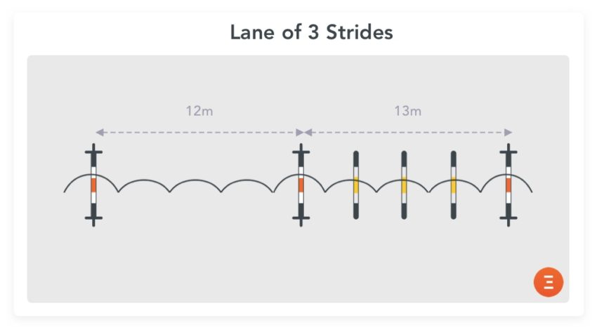 4 Gridwork Exercises that you have to try | Equisense - Blog