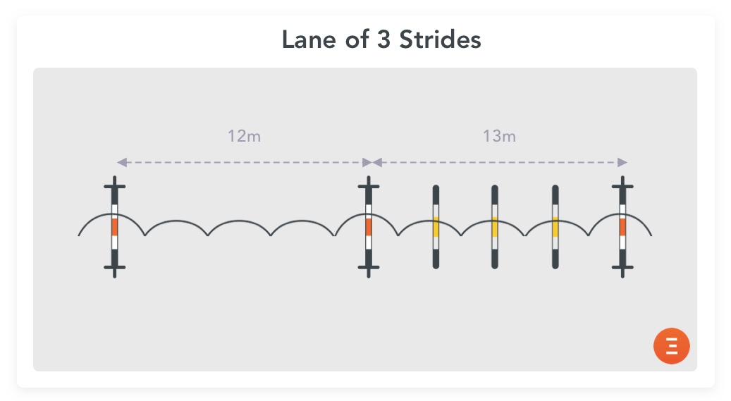 4 Gridwork Exercises that you have to try | Equisense - Blog