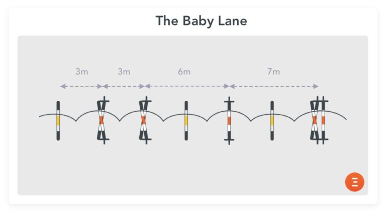 4 Gridwork Exercises that you have to try | Equisense - Blog