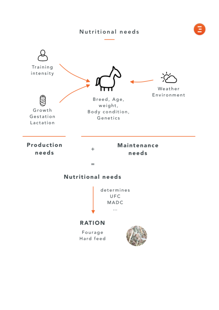 How to calculate your horse's ration? | Equisense - Blog
