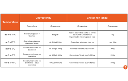 Quelle couverture choisir pour mon cheval ? | Equisense - Blog