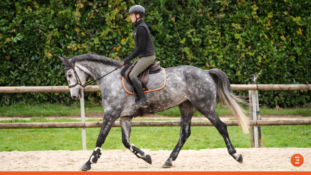 Exercices Equisense | Equisense - Blog