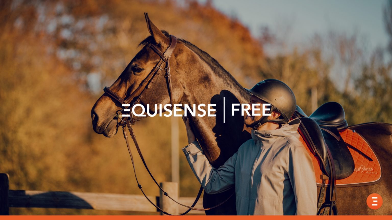Discover the New Equisense App Subscriptions: A Plan for Every Rider ...