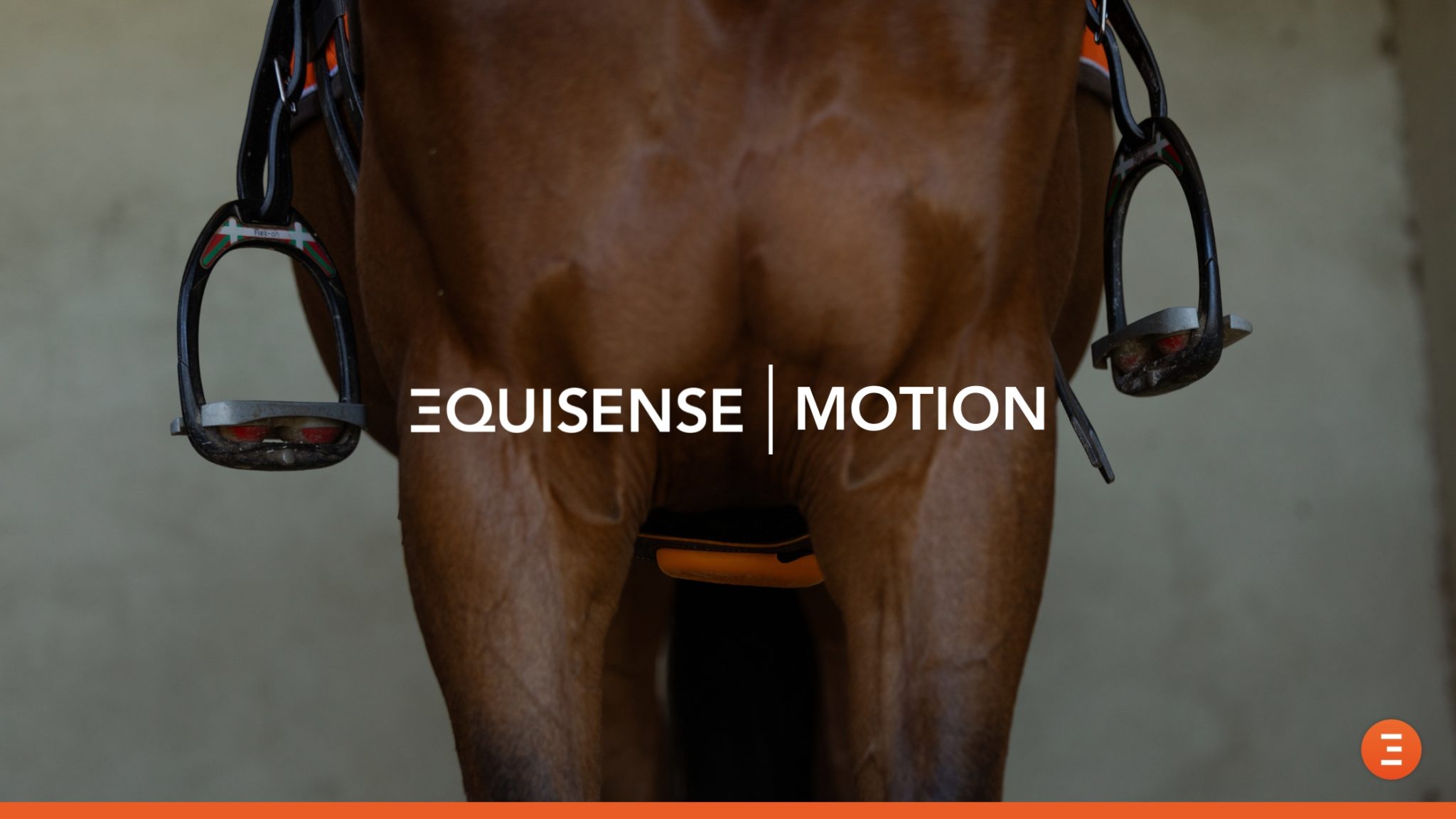 Discover the New Equisense App Subscriptions: A Plan for Every Rider ...