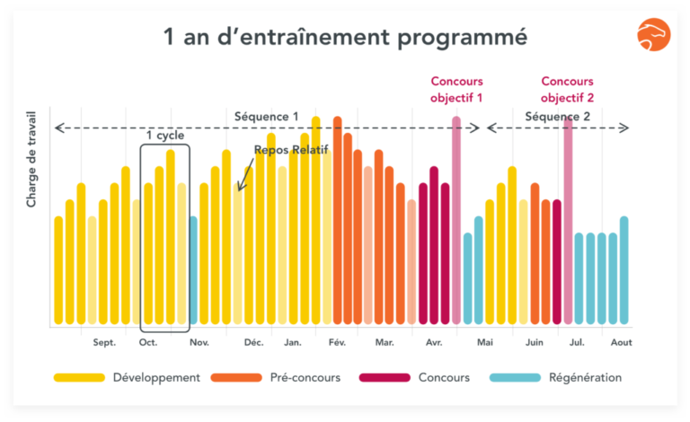 Build a 12-Month Training Plan with Equisense
